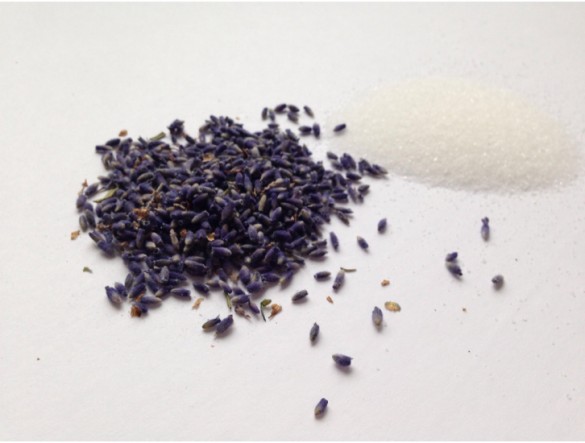 Sweet Start ~ Lavender Lattes | Sugar Plum Sisters